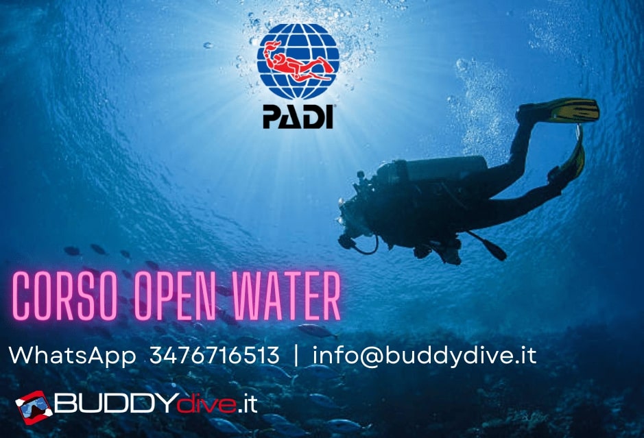 corso padi open water diver by buddydive-giugno 2023 lucca e livorno | Buddy Dive